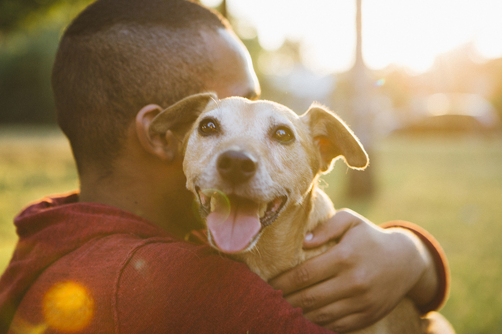 Dog And Human Mix Breed