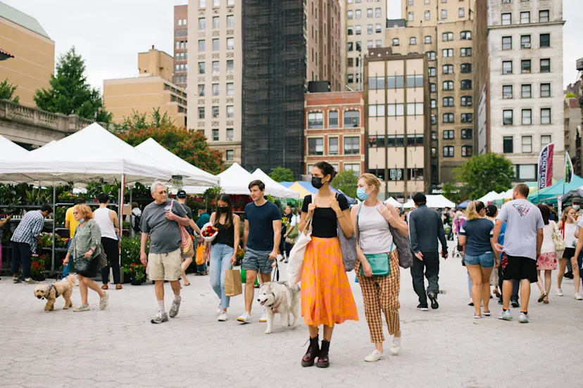 Rated Best Pet Insurance Plans | Figo Pet Insurance