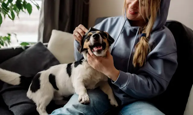 15 Perfect Gifts for the Pet Parent in Your Life