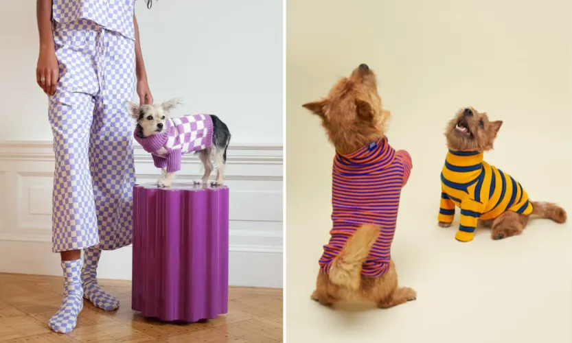 Best Trending Pet Brands of the Year: Our Top Picks