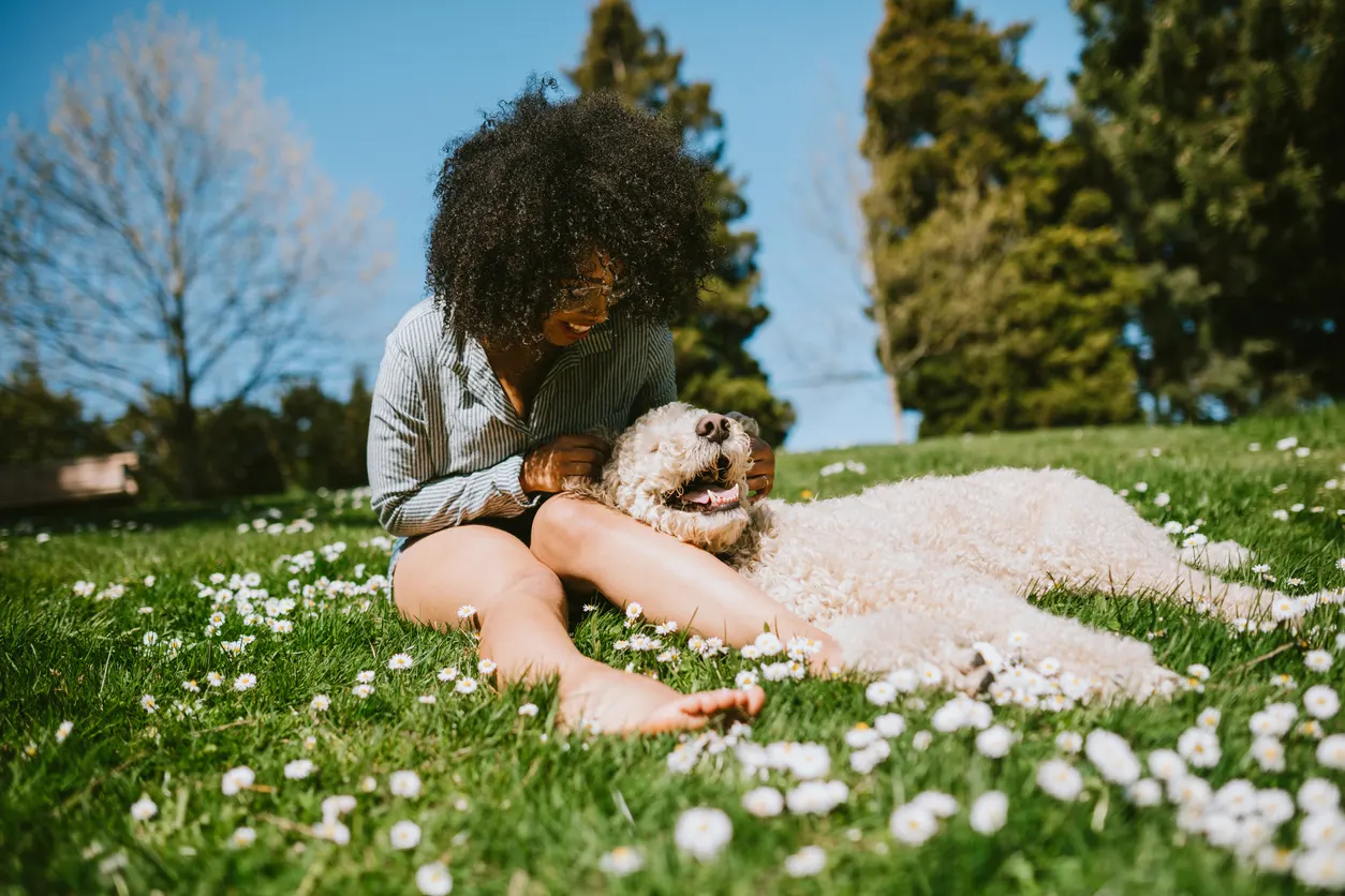 Hot Dogs: Why Your Pup Loves Sunbathing