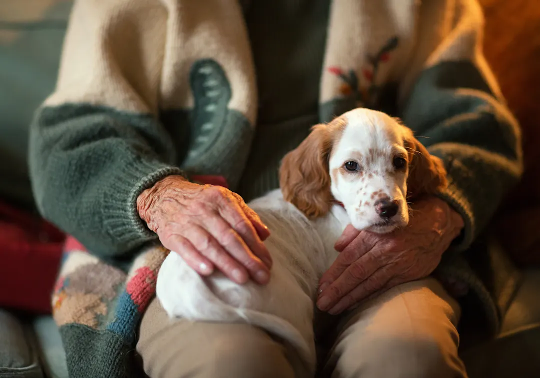 Could Your Pet Have a Career in Mental Health? Therapy Animals Explained.