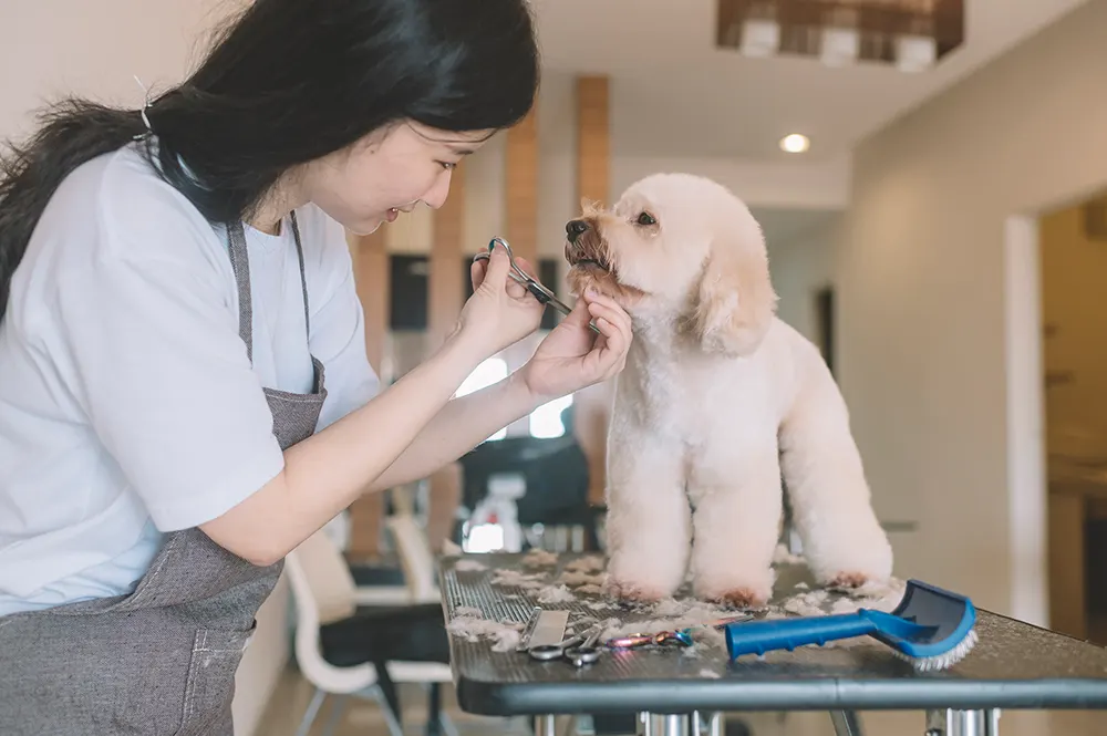 Tips for pet groomers on keeping clients happy