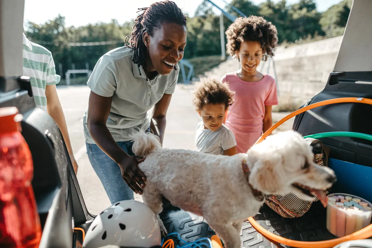 We Mapped Out the Ultimate Pet-Friendly Road Trip (so You Don’t Have To)