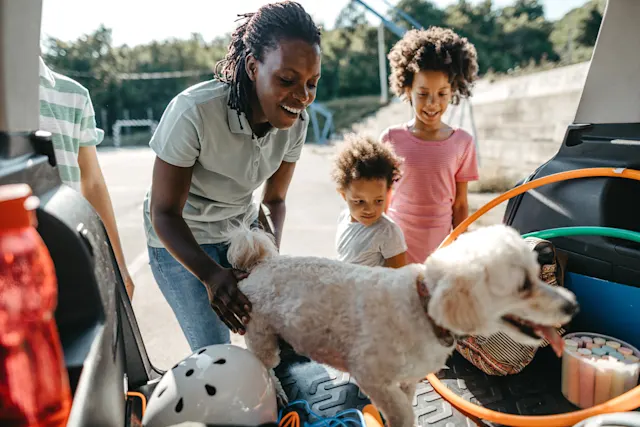 We Mapped Out the Ultimate Pet-Friendly Road Trip (so You Don’t Have To)