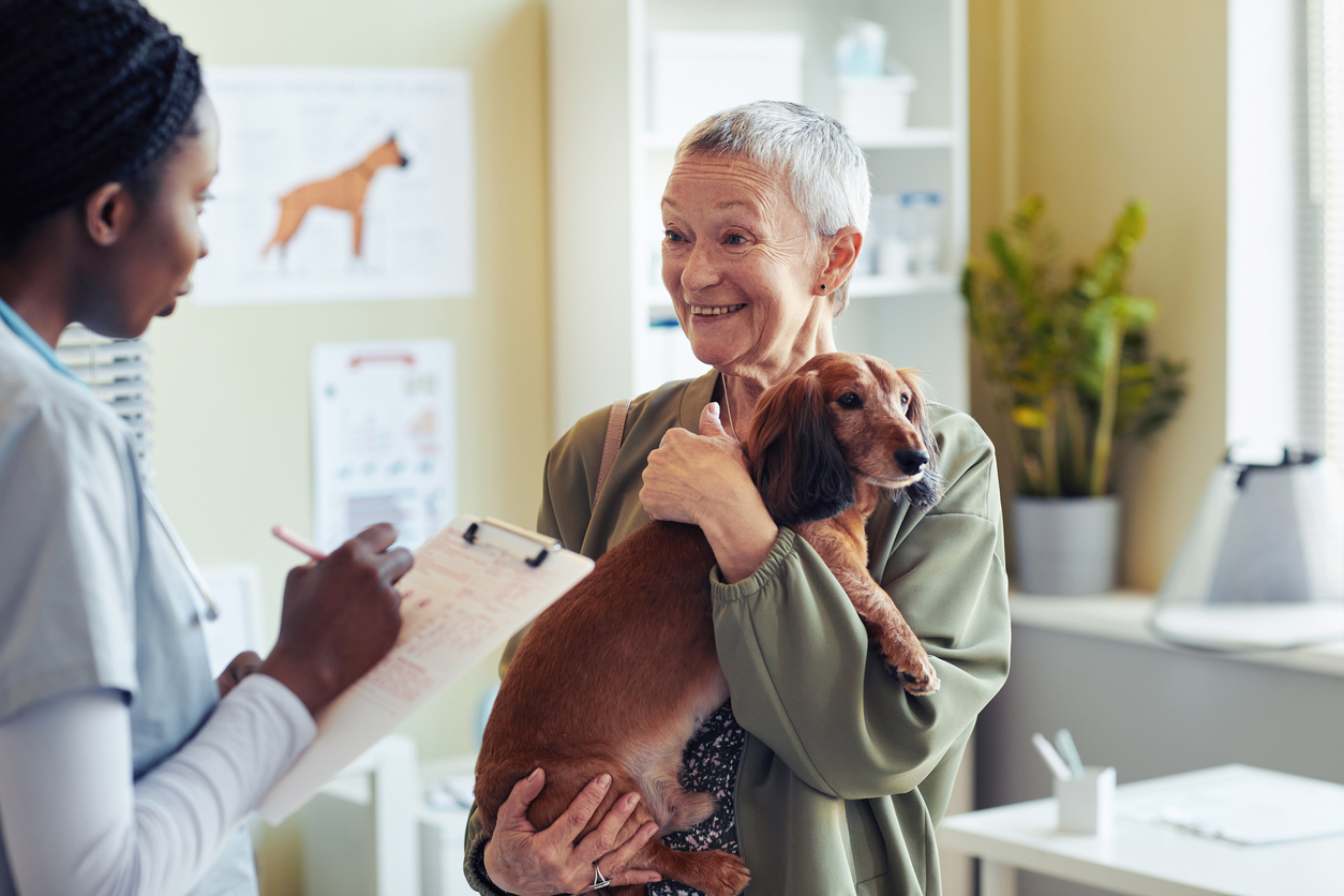 5 Hacks For Stress Free Vet Visits: Tips for Pet Parents