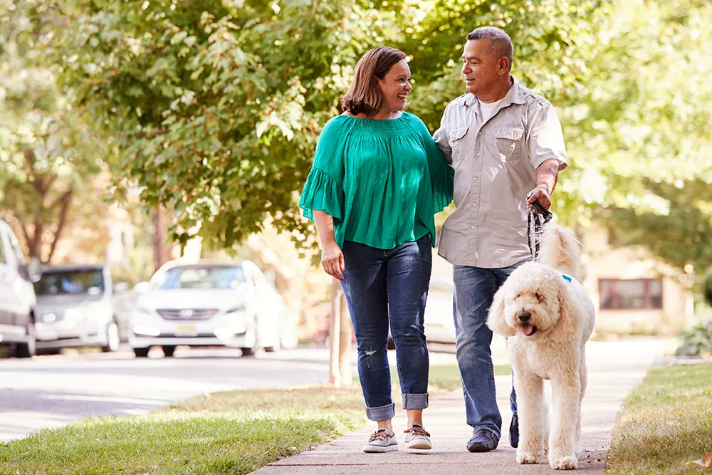 Tips for finding a dog friendly neighborhood