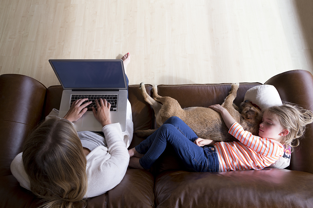 6 tools every dog owner needs for their home