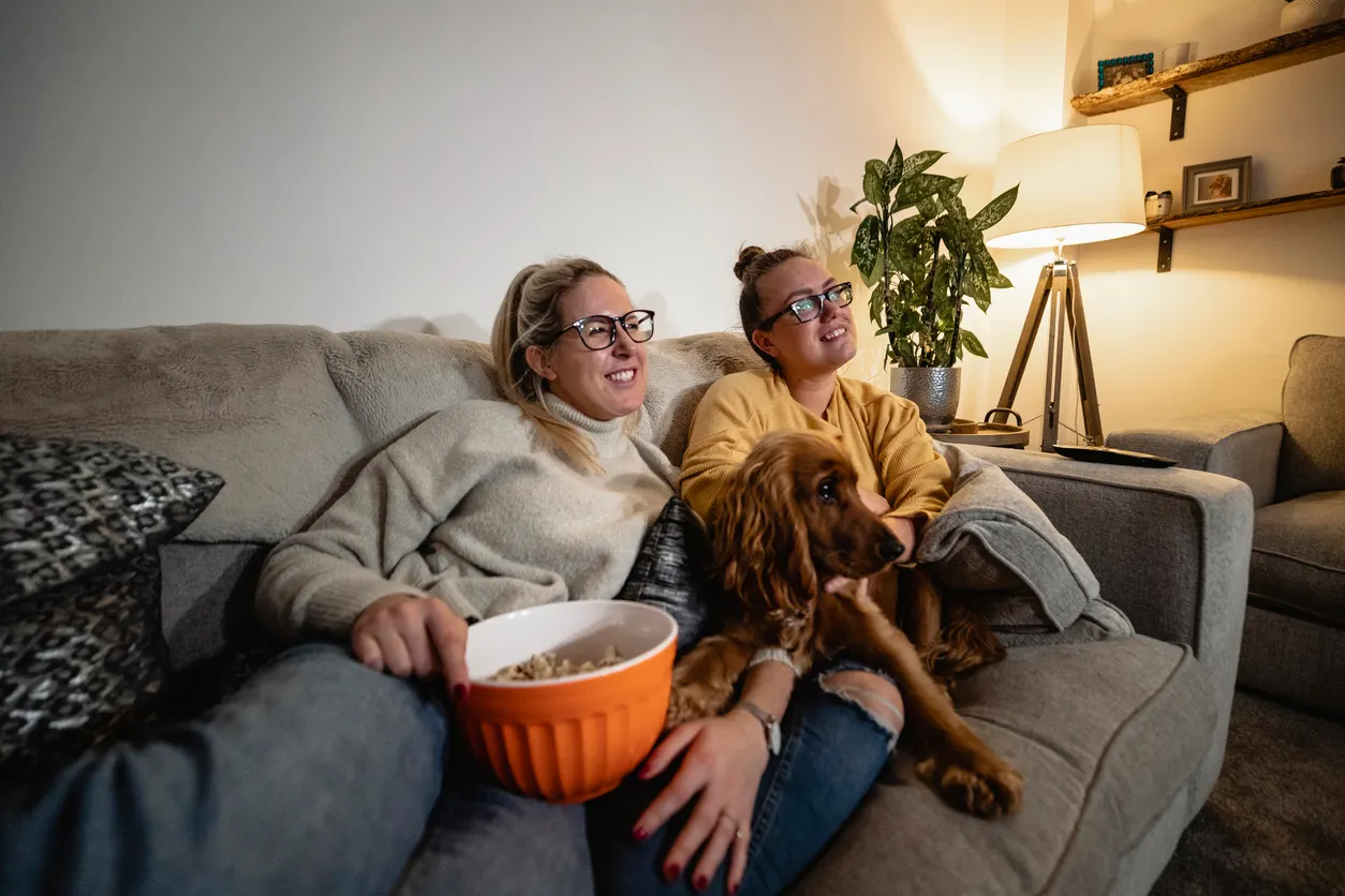 Deep Dive Into World Of Dog Tv: Tips for Pet Parents