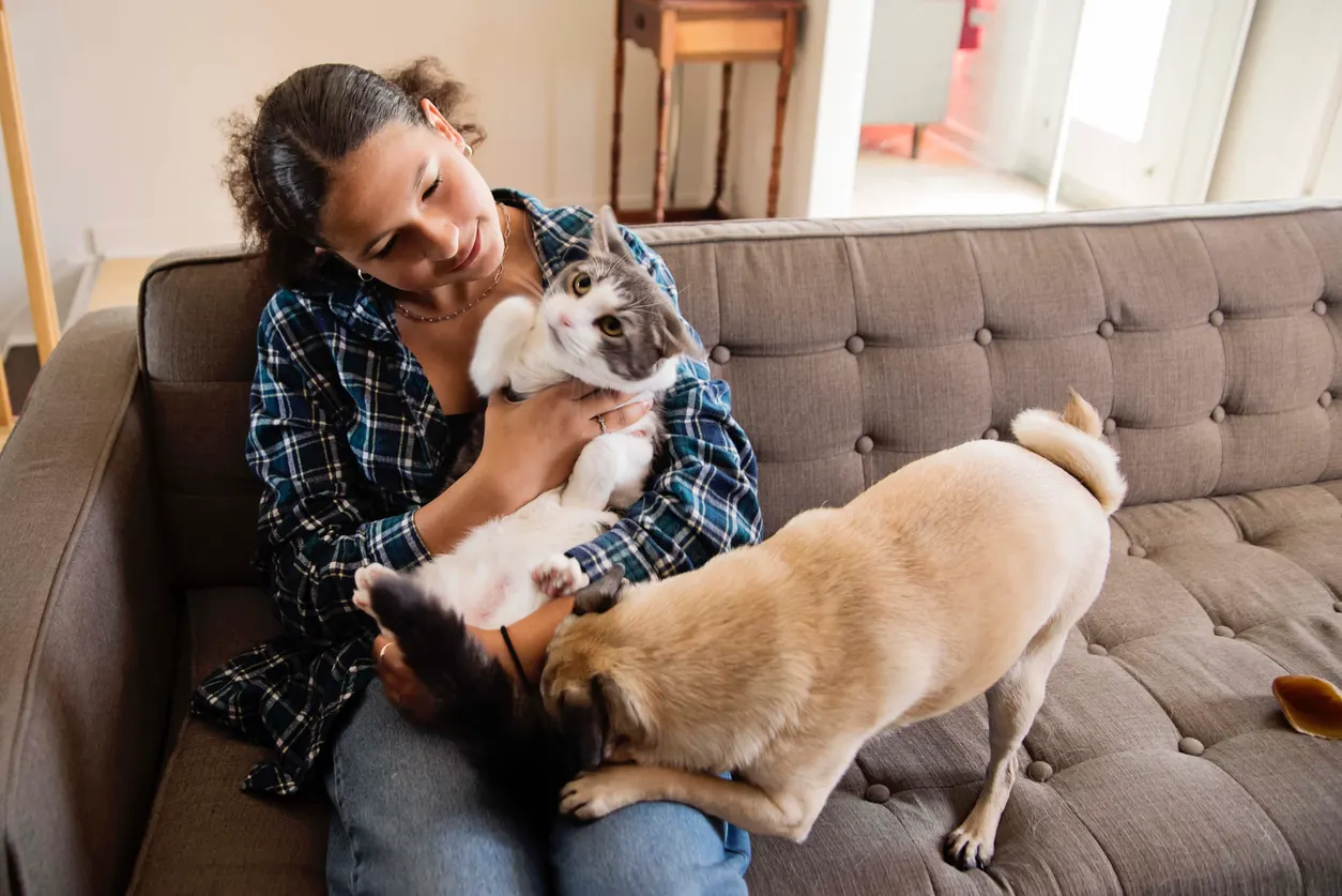 How to Painlessly Introduce Pets to Each Other