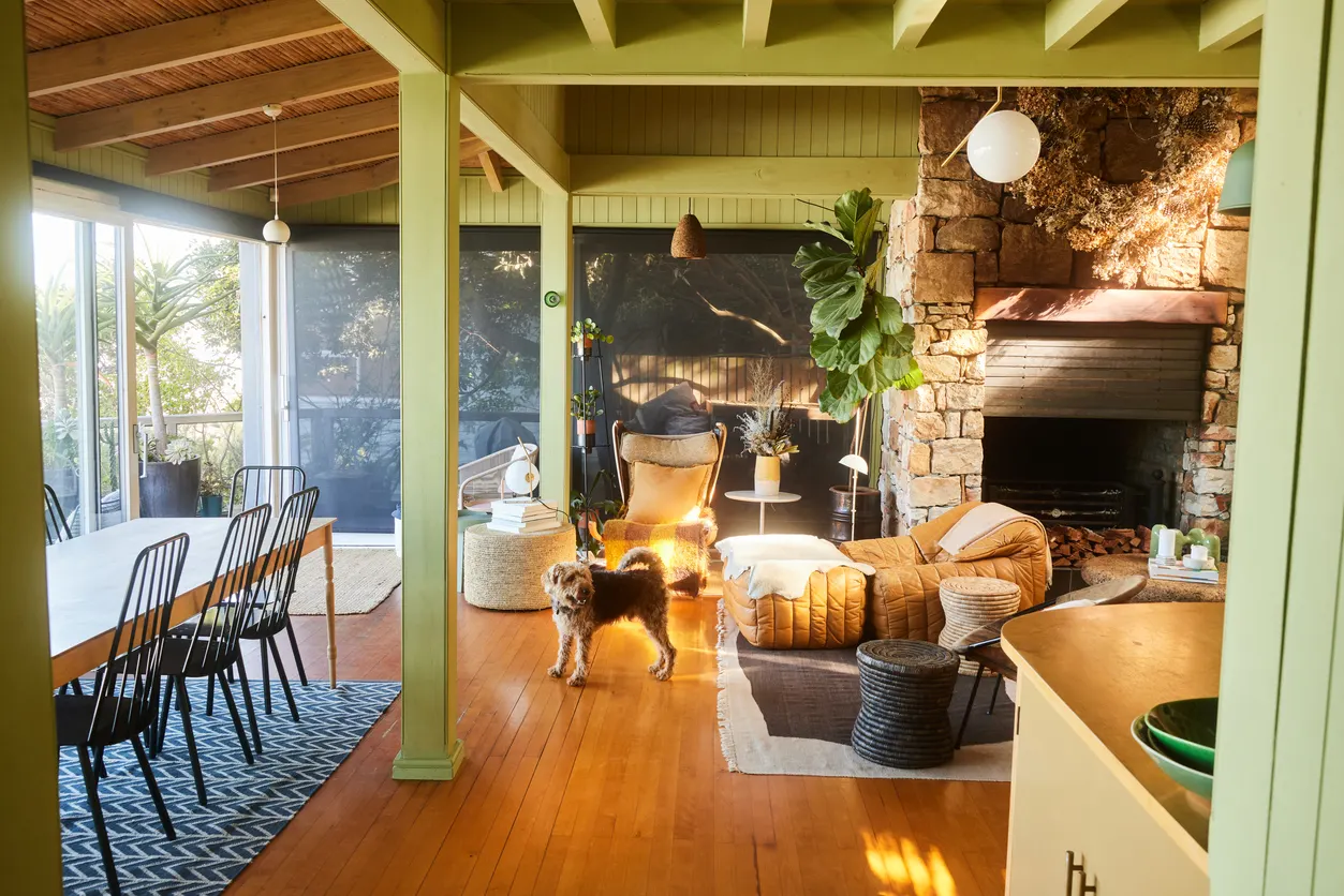 Color Drenching with Pets: A Guide to Bold and Beautiful Pet Spaces