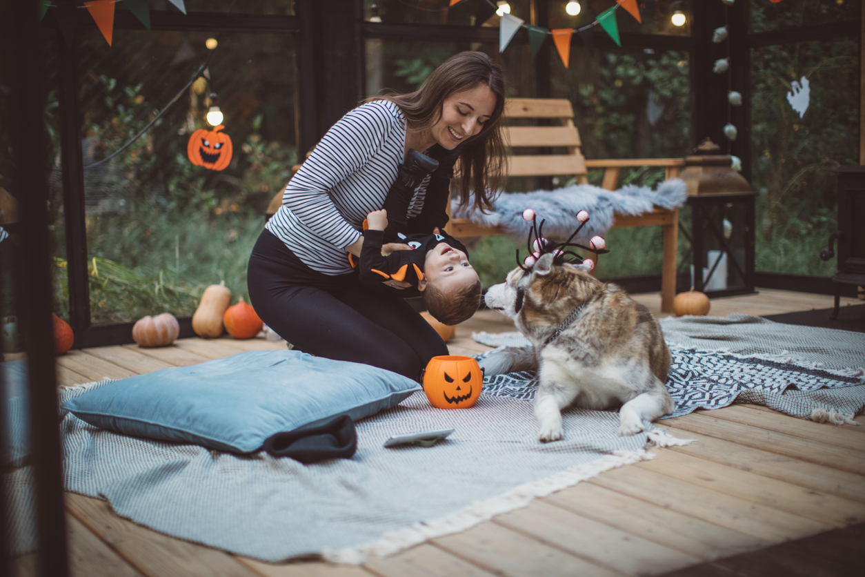 Throw the Ultimate Pet-Friendly Halloween Party