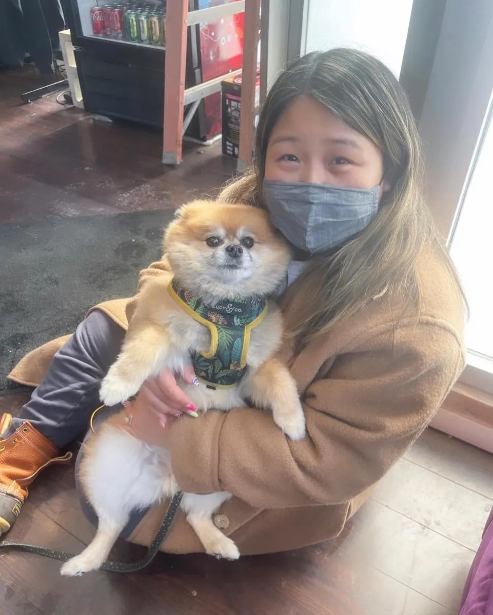 A Pet Parent’s Worst Nightmare: How This Chicago Influencer Found Her ...