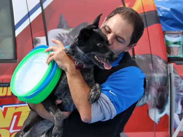 Interview with Chris Perondi, The Stunt Dog Guy™