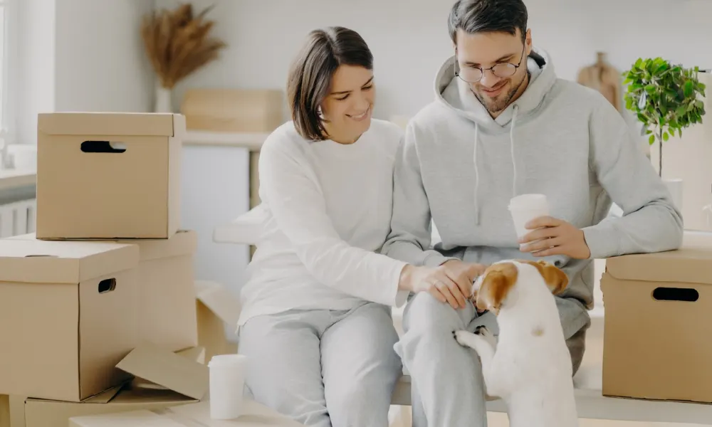 How to Make Moving Easier for Your Dog