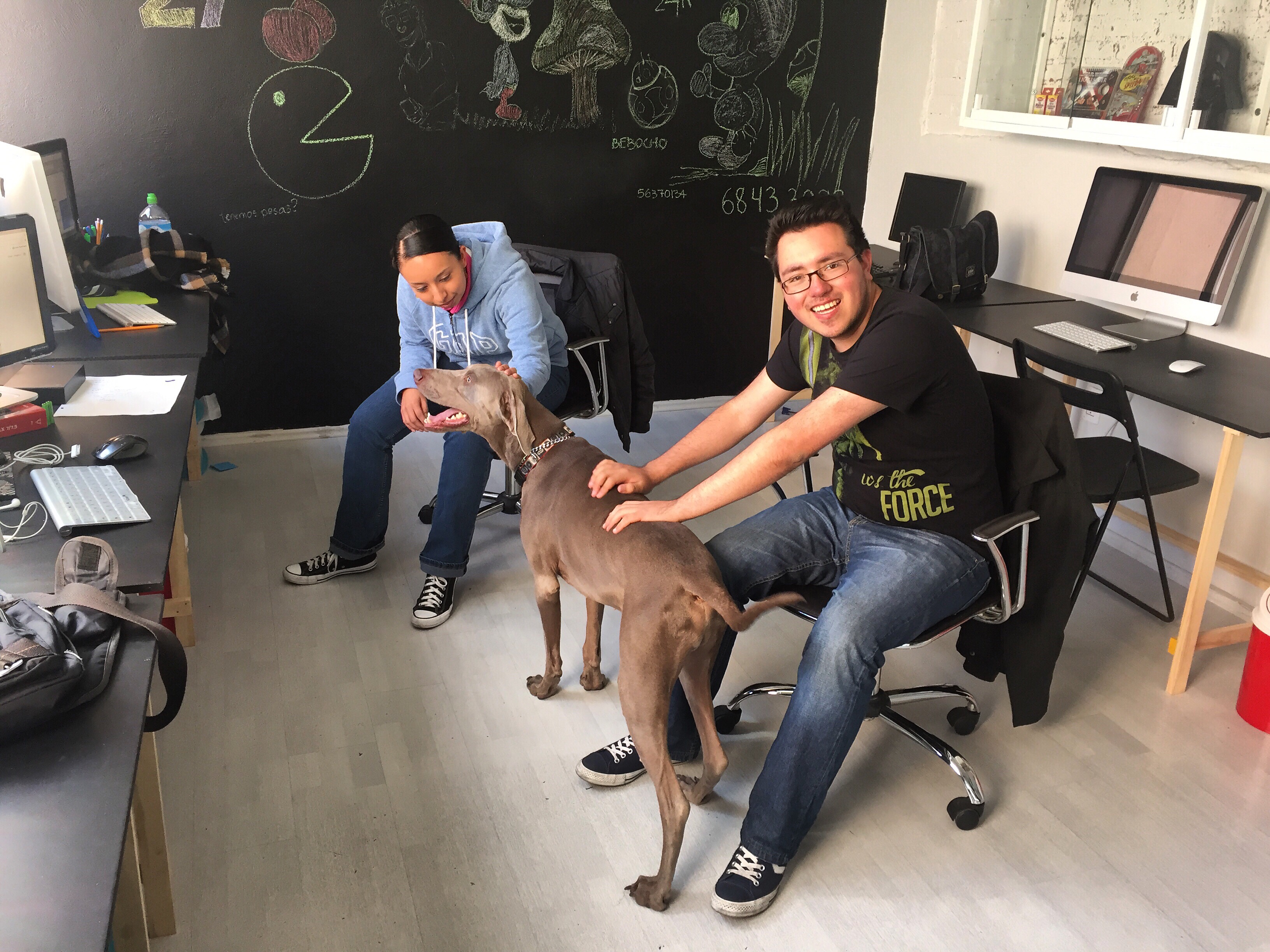 Tips for creating a pet-friendly office