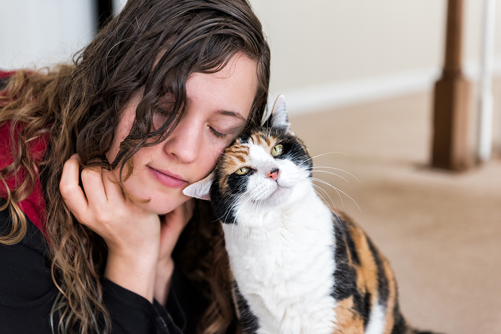 Pet awareness month
