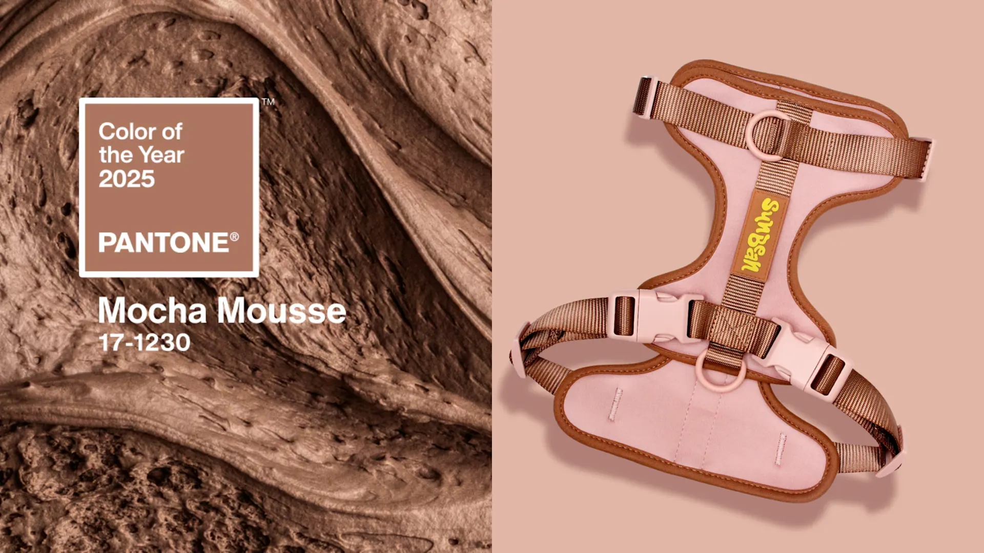 Your Pet Doesn't Care About Pantone's Color of the Year, But You Should