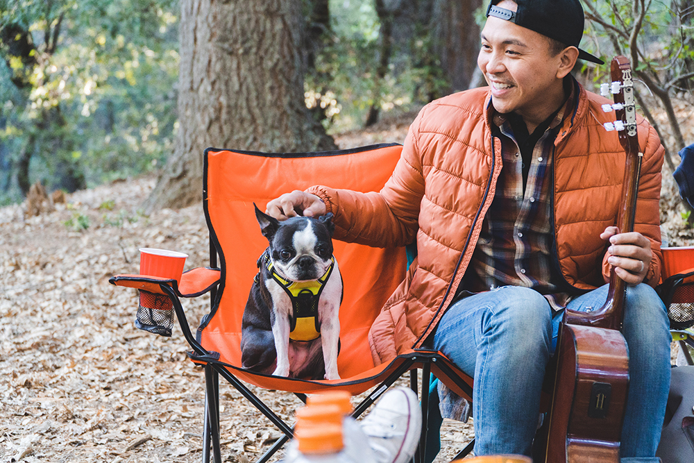 Tips for camping with your dog