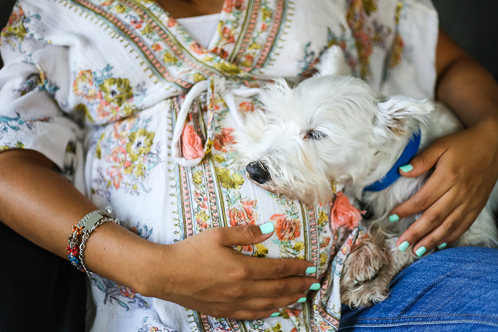 Preparing your pet for a new baby