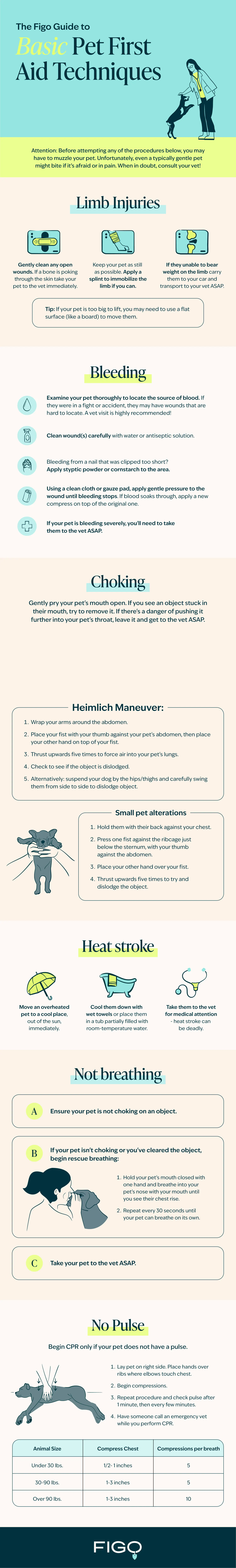 The Figo Guide to Basic Pet First Aid