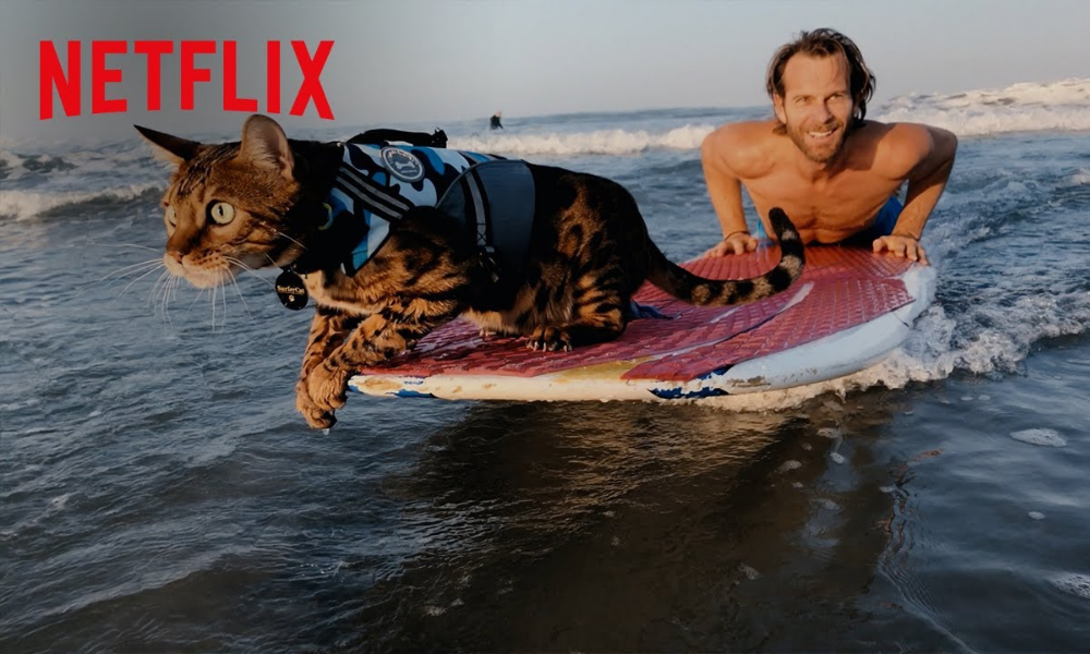Petflix & Chill: 6 Family-Friendly Shows and Docs for Animal Lovers