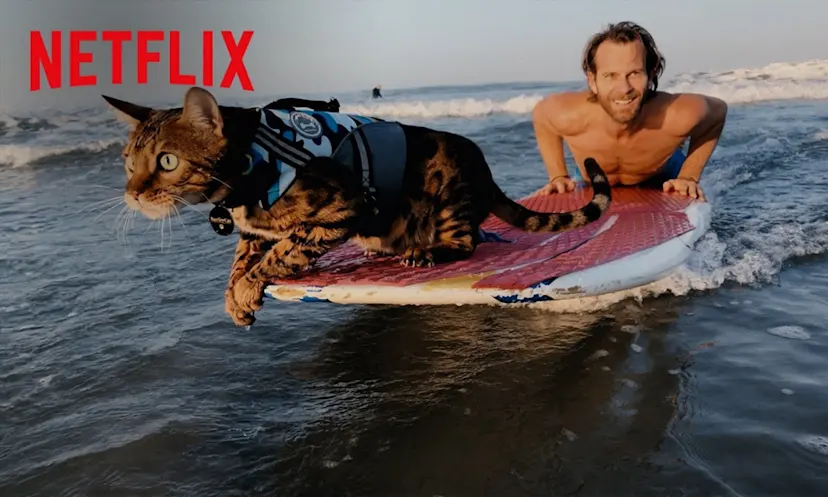 Petflix & Chill: 6 Family-Friendly Shows and Docs for Animal Lovers