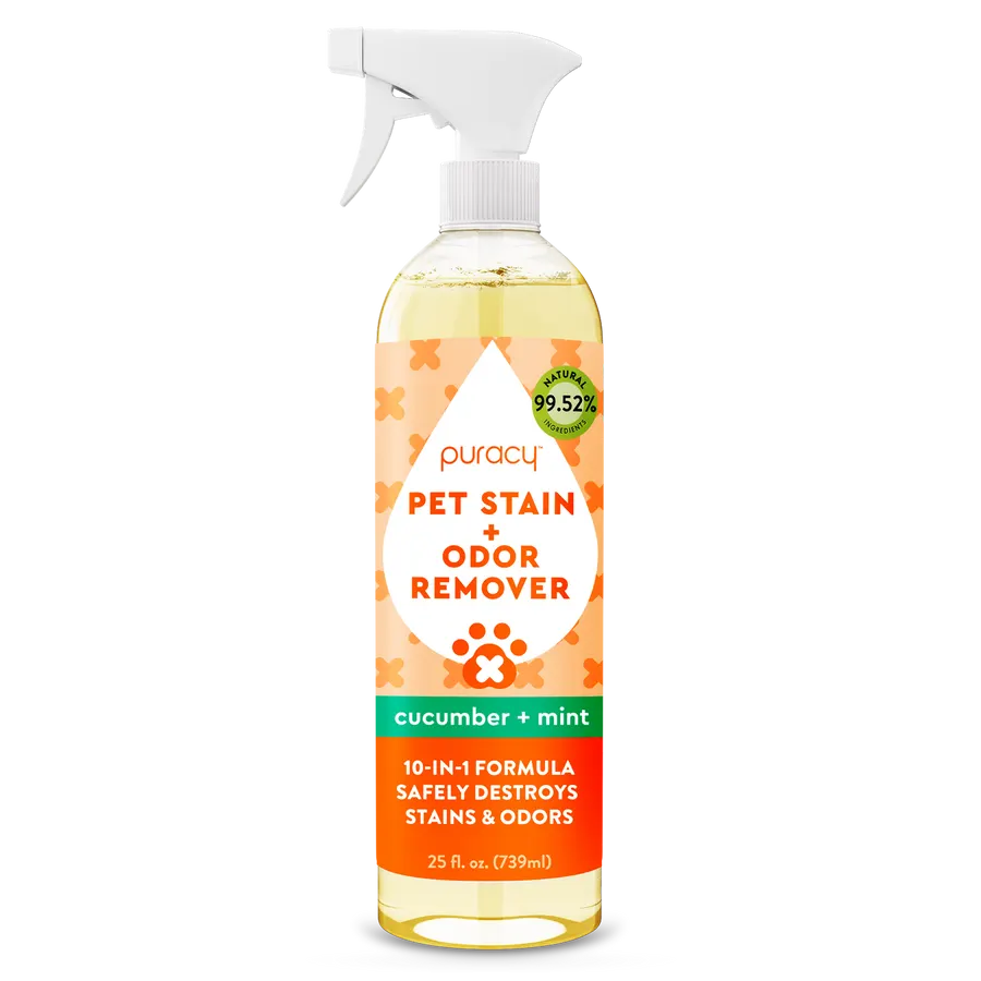 10 Pet Safe Cleaners for the Tidy Pet Parent