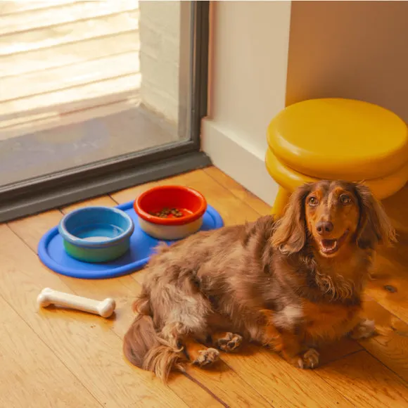18 Pet Gifts Actually Worth the Investment