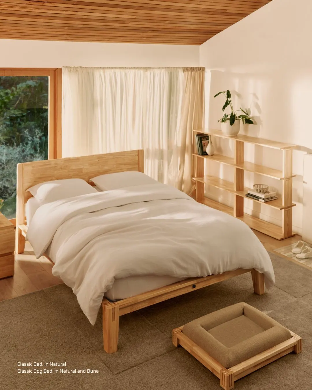 10 Pet Beds Worth Stealing a Nap In