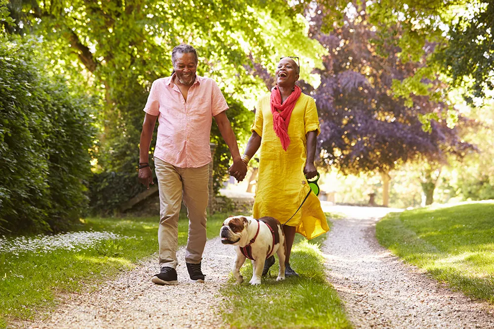 The best dog breeds for seniors