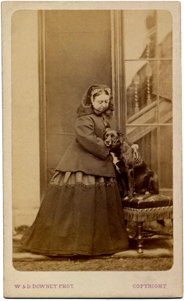 Inside the Lavish Lives of Victorian Pets