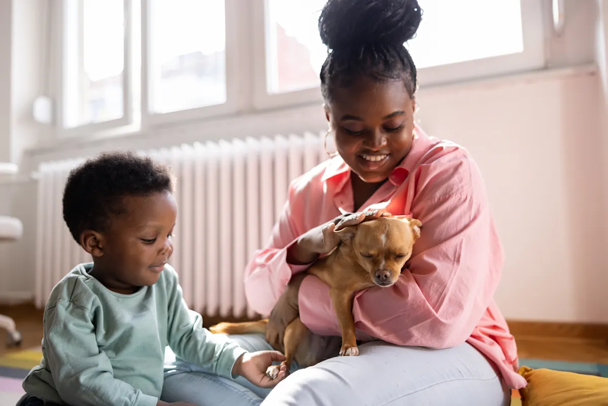 The Figo Pet Insurance Ultimate Guide to Claims