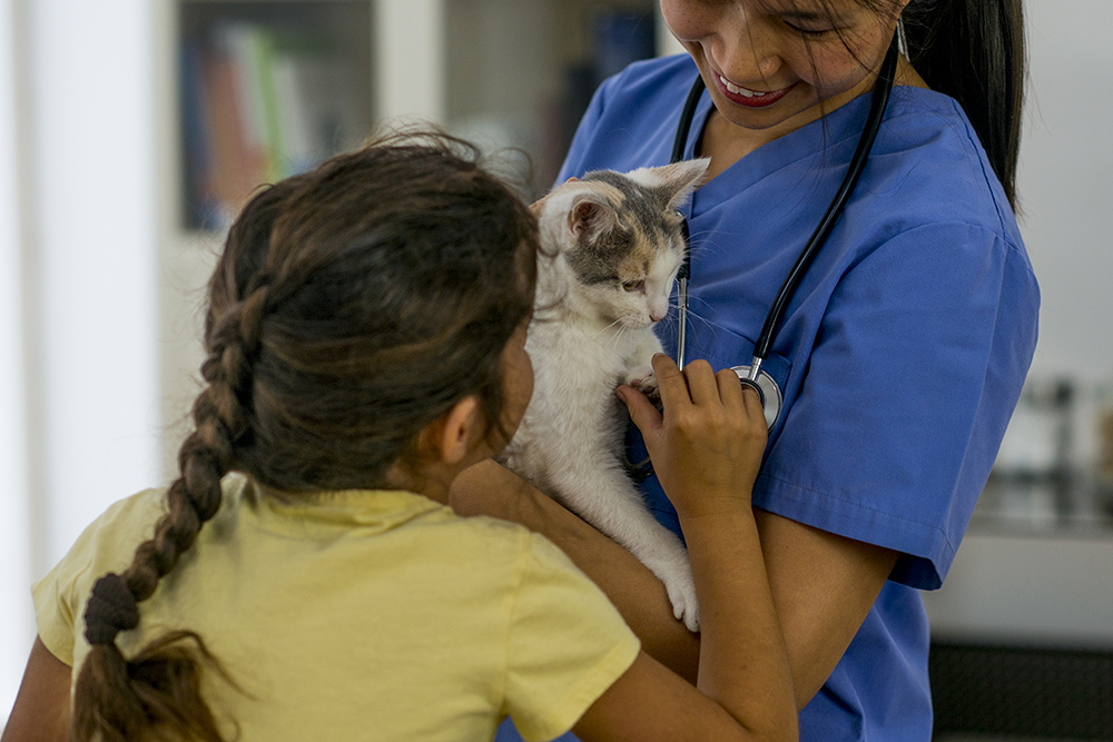 Pets and smoke inhalation