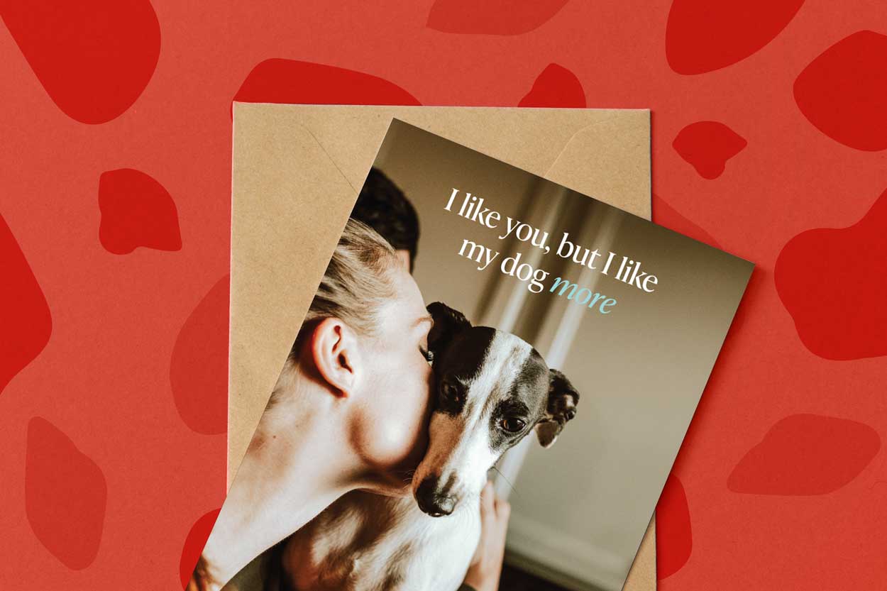 4 Honest Pet Valentine's Day Cards Every Pet Parent Will Love
