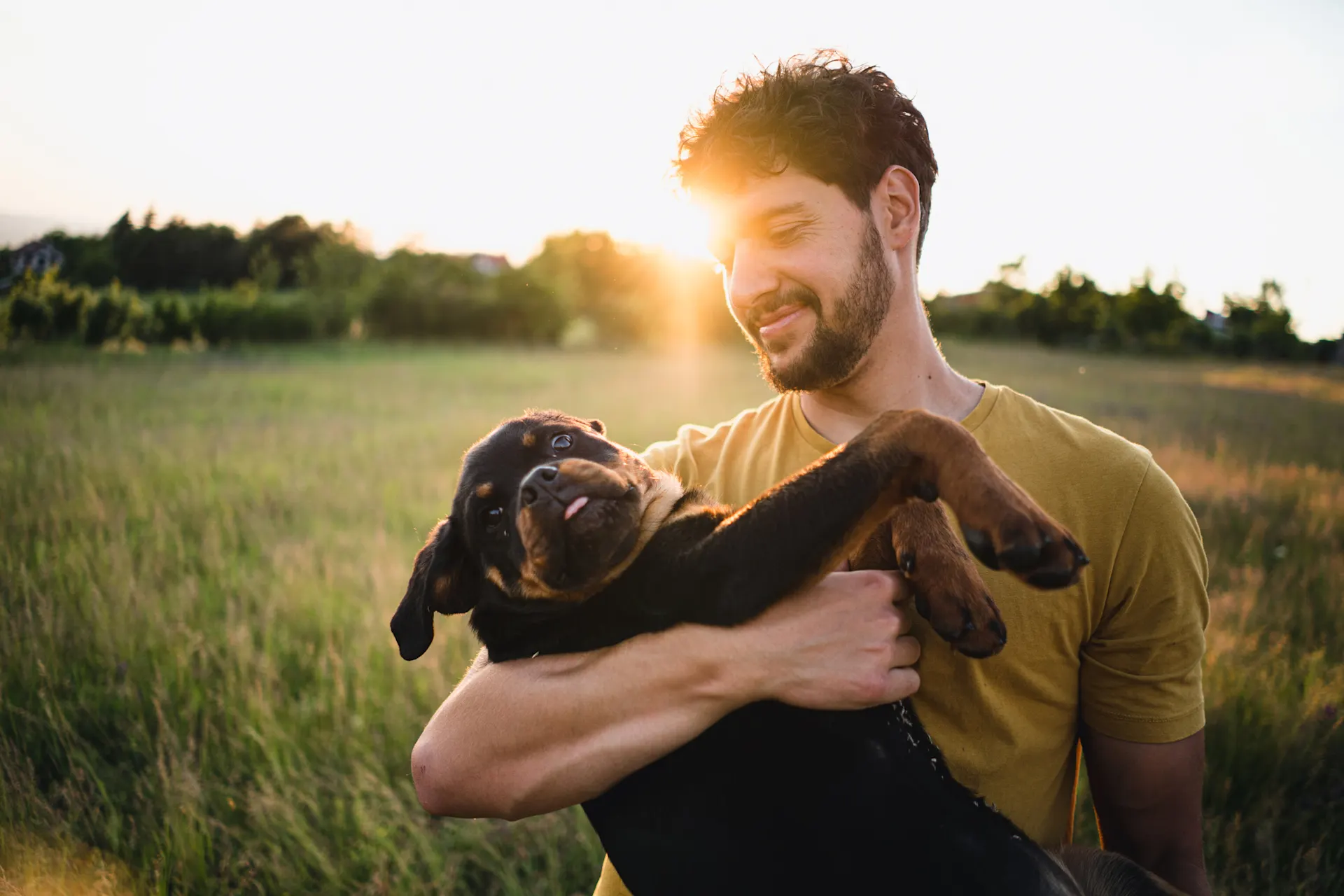 Rottweilers: The Good, the Bad, the Ugly