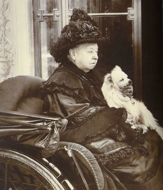 Inside the Lavish Lives of Victorian Pets