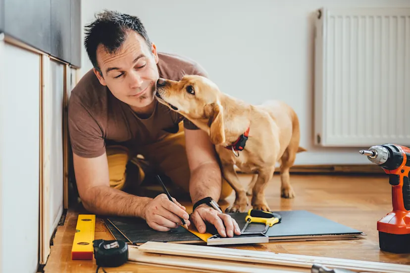 Renovating Home Pet Safety Tips: Insights for Pet Parents