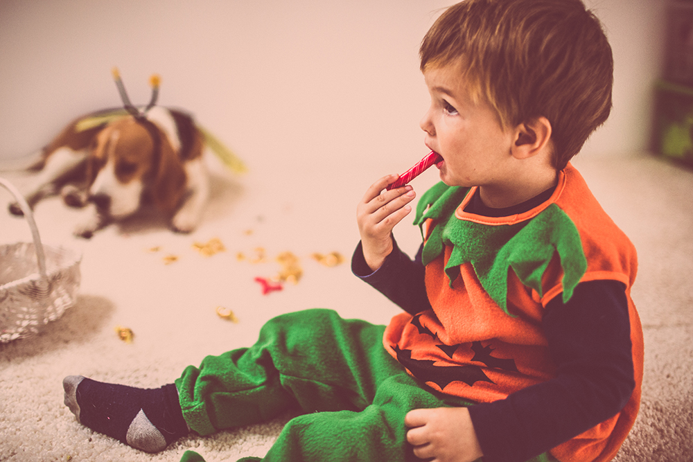 Halloween candy and pets