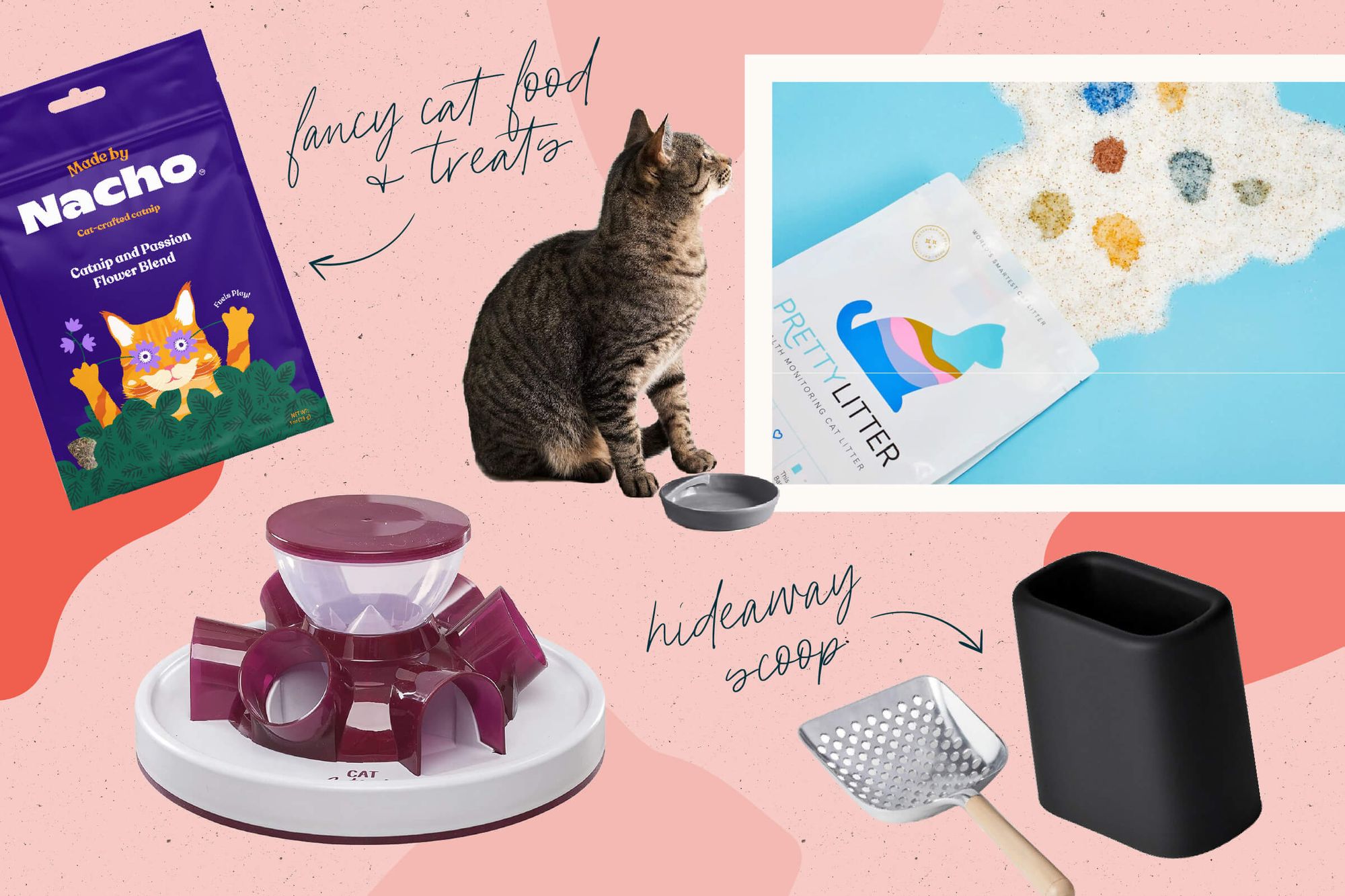 10 Creative Gifts Your Cat Will Go Crazy For