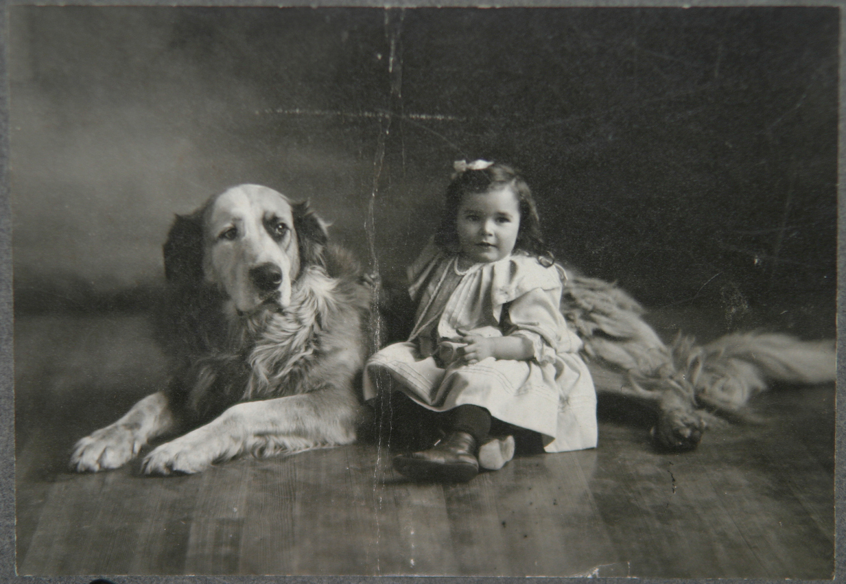 Inside the Lavish Lives of Victorian Pets