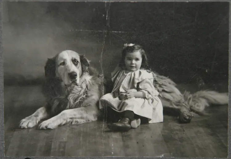 Inside the Lavish Lives of Victorian Pets