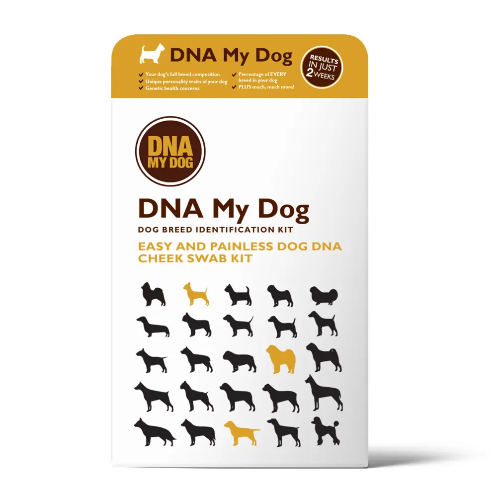 Got It From My Momma – Do Dog DNA Kits Really Work?