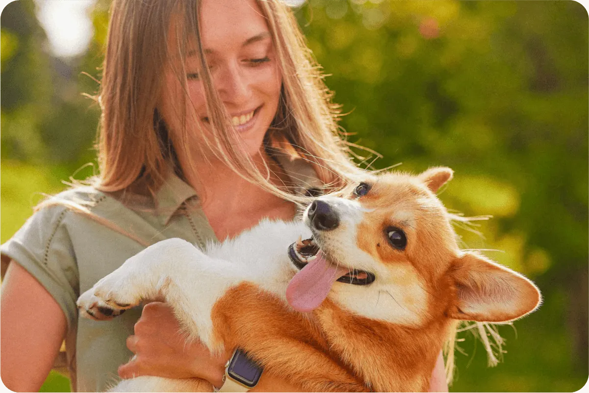 Pembroke Welsh Corgis: The Good, The Bad, The Ugly