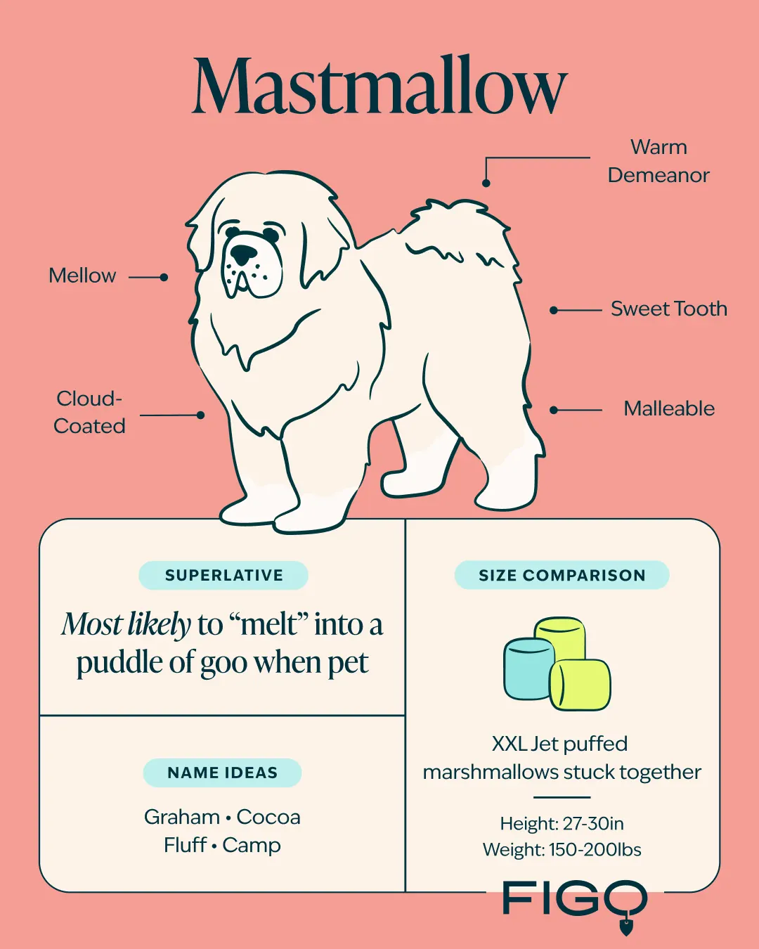 Canine Experts Discover Three New Dog Breeds in 2024