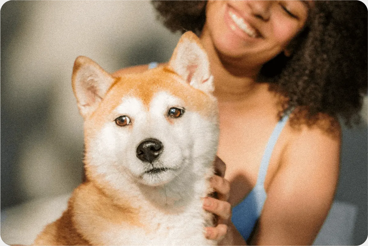 Shiba Inu Breed Guide: Must-Know Facts for Pet Parents