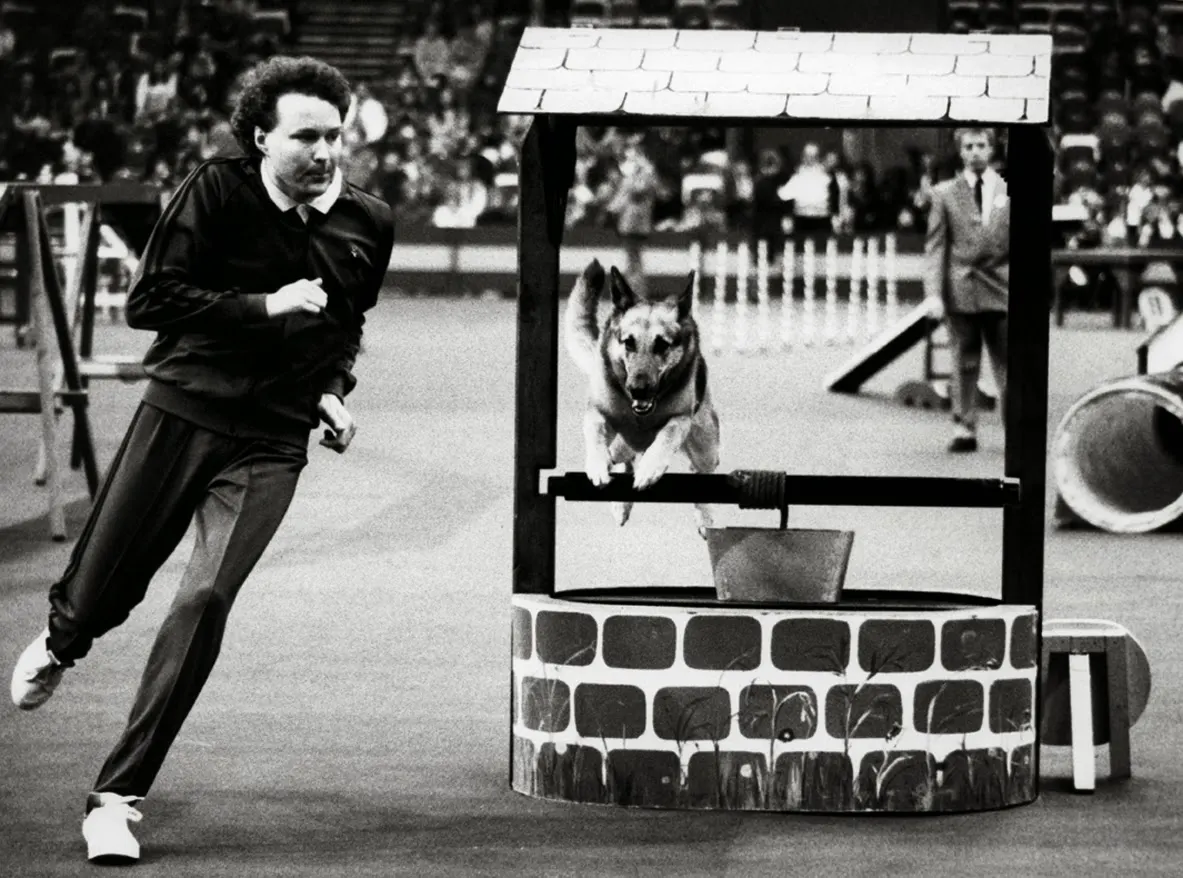 Hunters to High Jumpers: The Wild World of Dog Sports