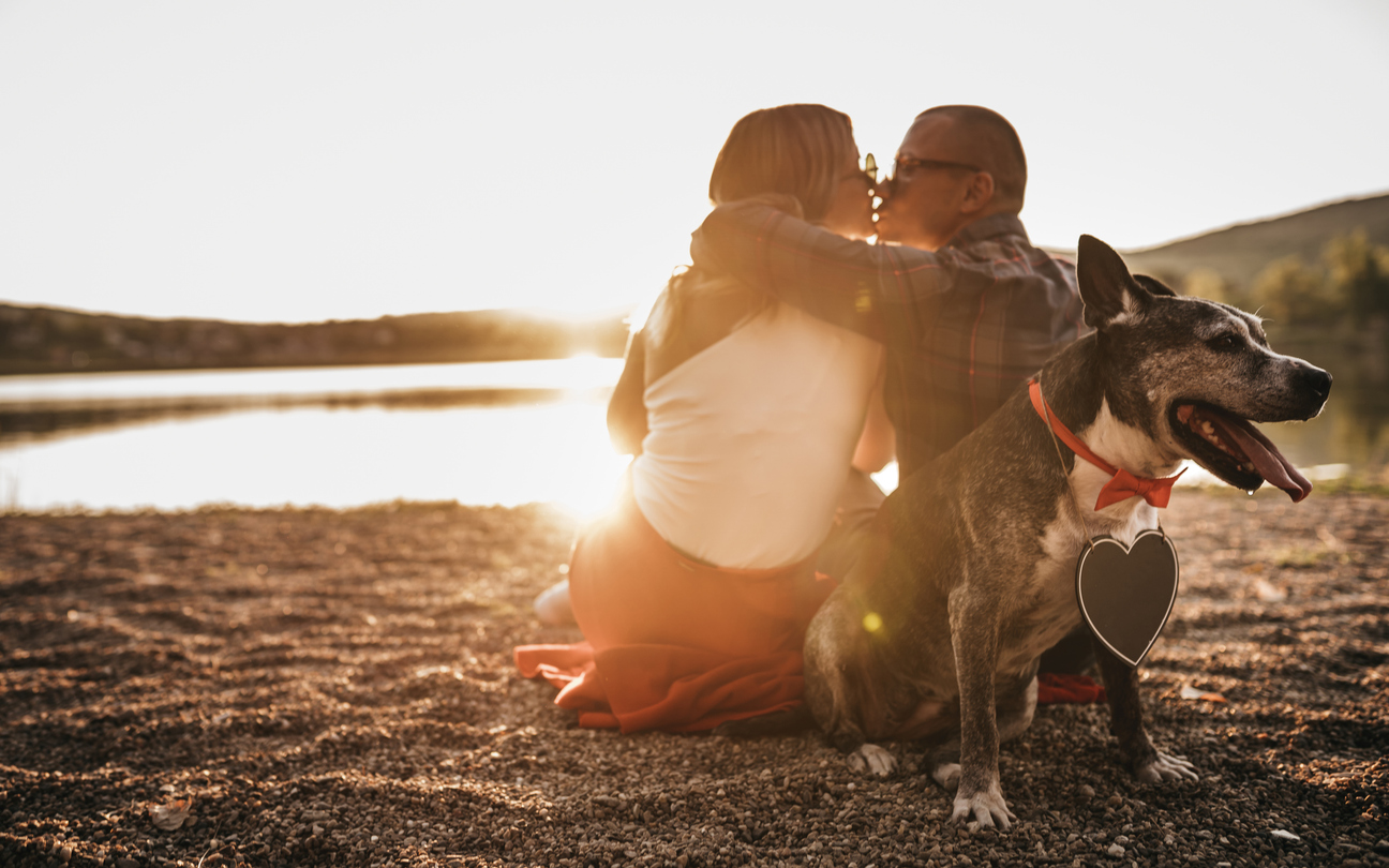 Enlist Your Pet to Help you Propose