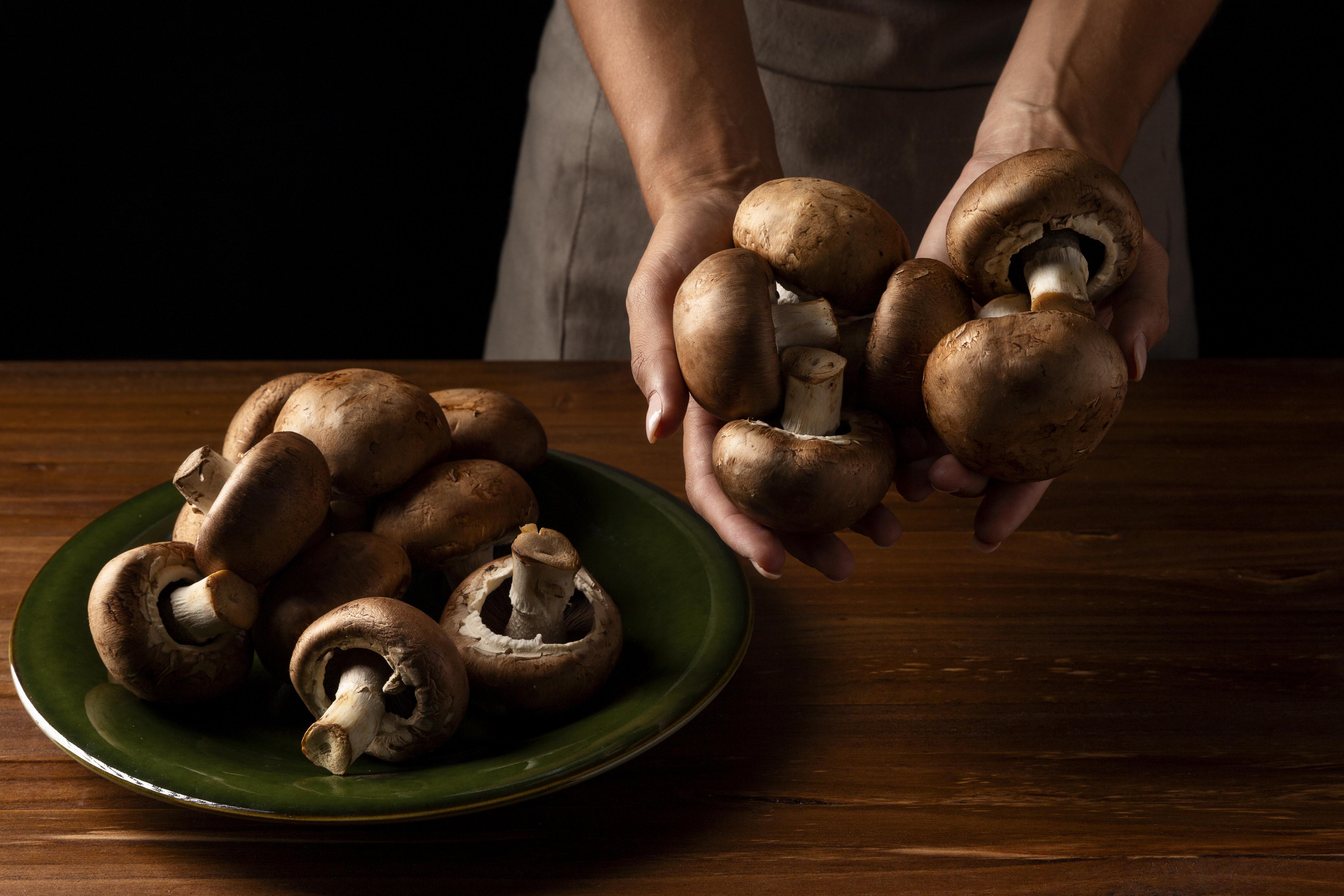 Starting a Foraged Mushroom CSA: A Step-by-Step Guide - Foraged - Foraged