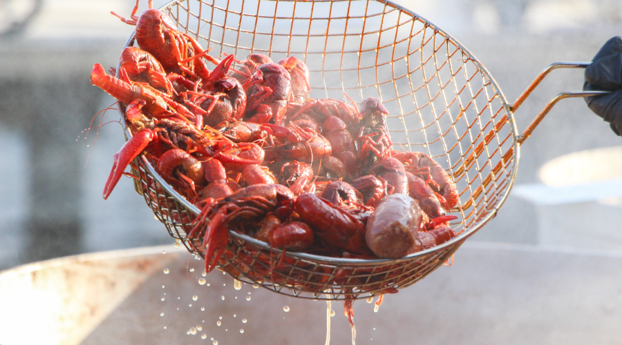 How to Start a Crawfish Business: Profitability Insights | Learn ...